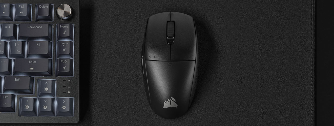 CORSAIR Introduces M55 and M55 Wireless Mice - The Gaming Stuff
